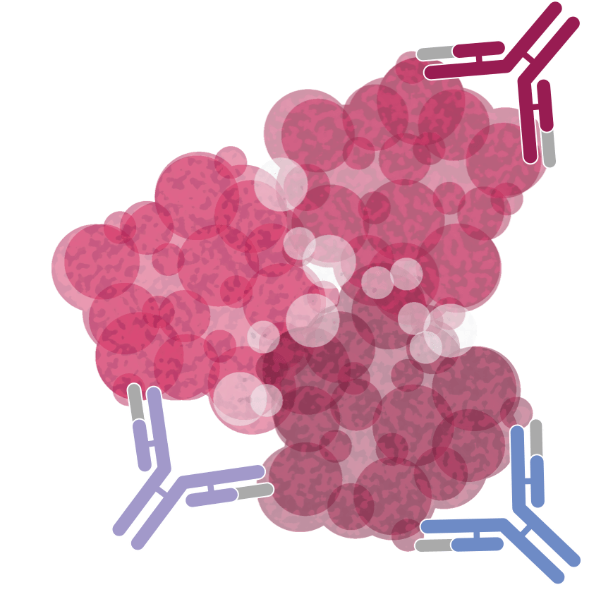 Zaire Ebolavirus Treatment | Inmazeb® (atoltivimab, maftivimab, and ...